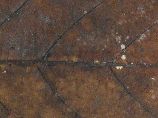 texture 0027 - Texturelib